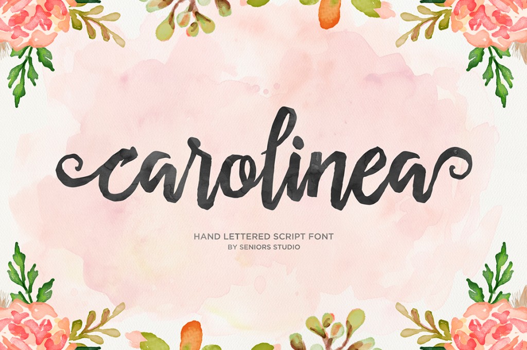CAROLINEA - Designer Blogs