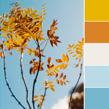 Mustard and Blue Color Palette