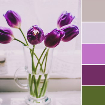 Lavender & Beige Color Palette