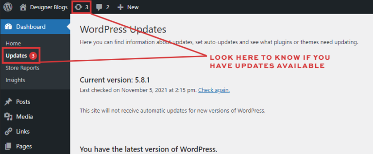 How to Update WordPress and Keep it Safe - Designer Blogs